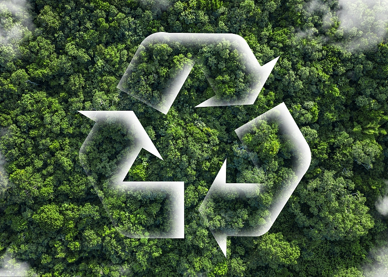 Beijing Carbon Neutrality Society Launched, Boosting Beijing's Carbon ...