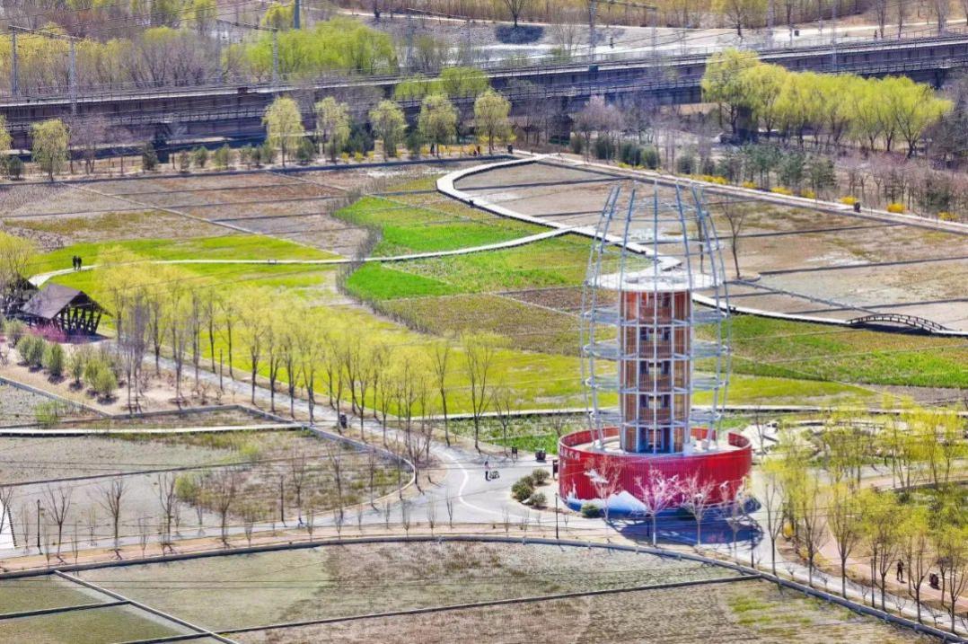 Springtime Outings in Yongding River Leisure Forest Park in Shijingshan ...