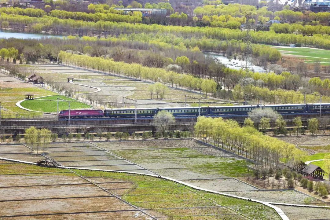 Springtime Outings in Yongding River Leisure Forest Park in Shijingshan ...