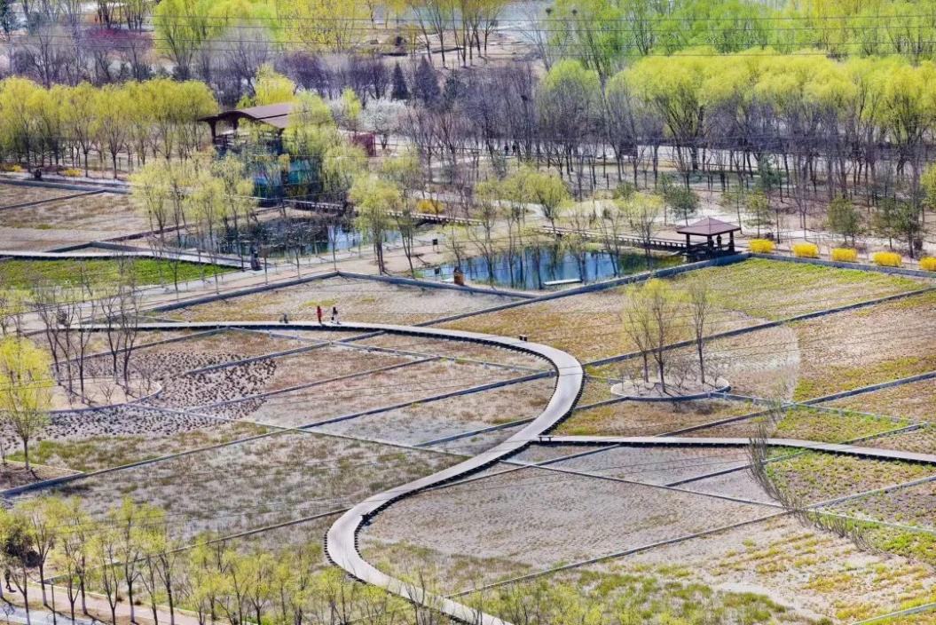 Springtime Outings in Yongding River Leisure Forest Park in Shijingshan ...