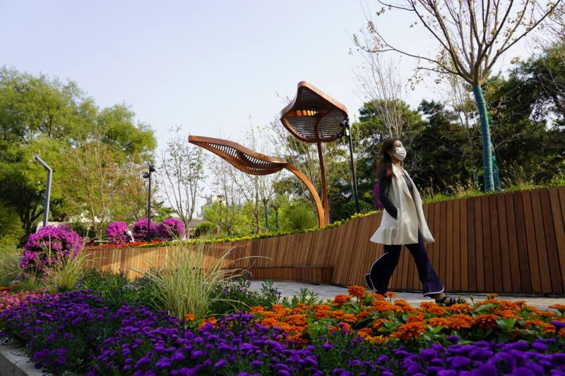 Beijing to Build 'Fenceless Parks', Extending Park Scenery to Streets