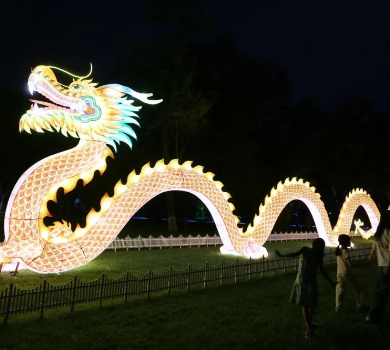 Longtan Park Comes Alive with 'Dragon' Culture-themed Light Show