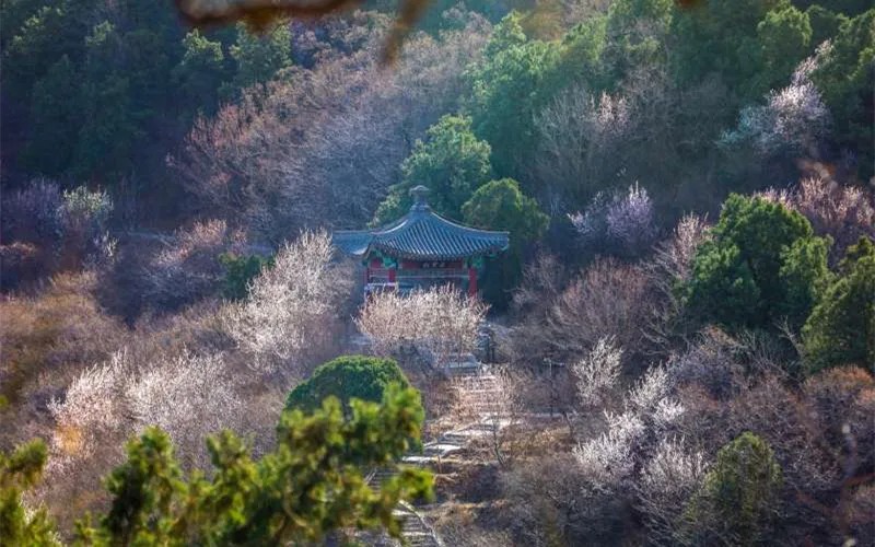 Spring is Approaching! Here Comes Beijing's Latest 'Spring Climbing' Guide
