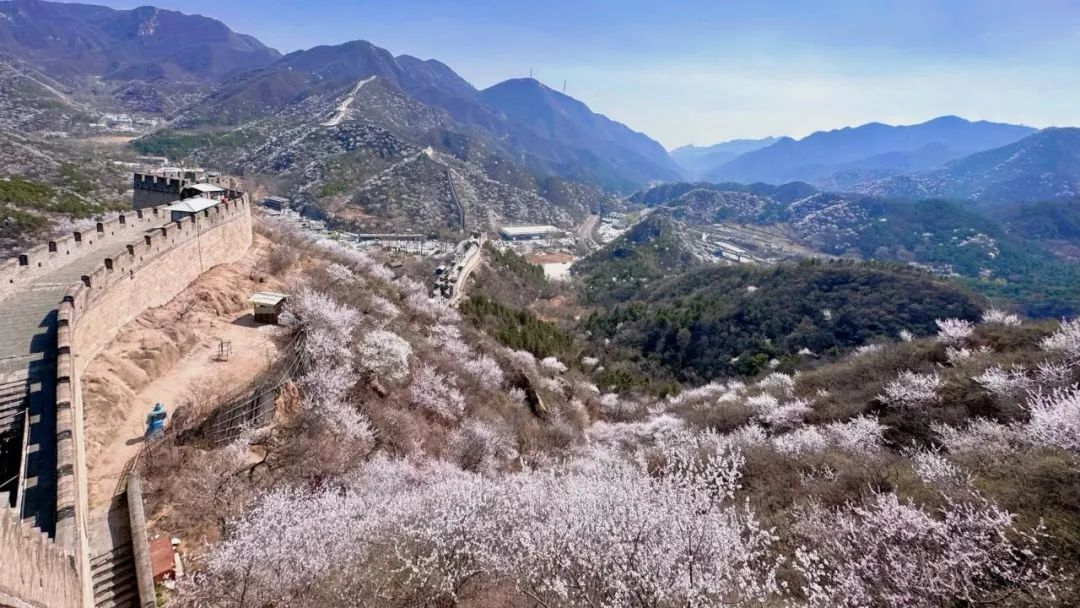 Embark on a Floral Journey by Suburban Railway Line S2