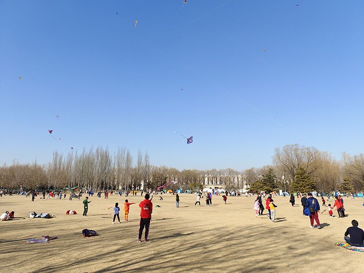Beijing Citizens Enjoy Warm Spring Season in Park