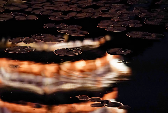 Yanqi Island Under the Moonlight