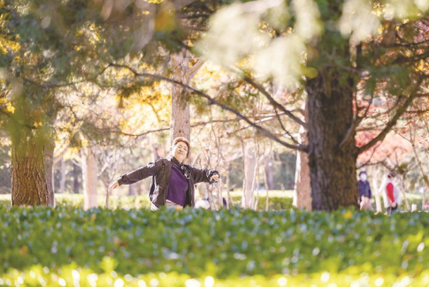 Spring in Beijing's Xicheng District
