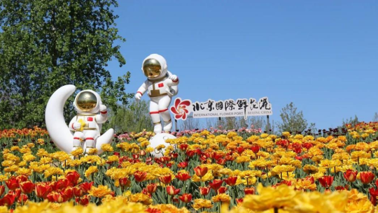 Four Seasons of Beijing